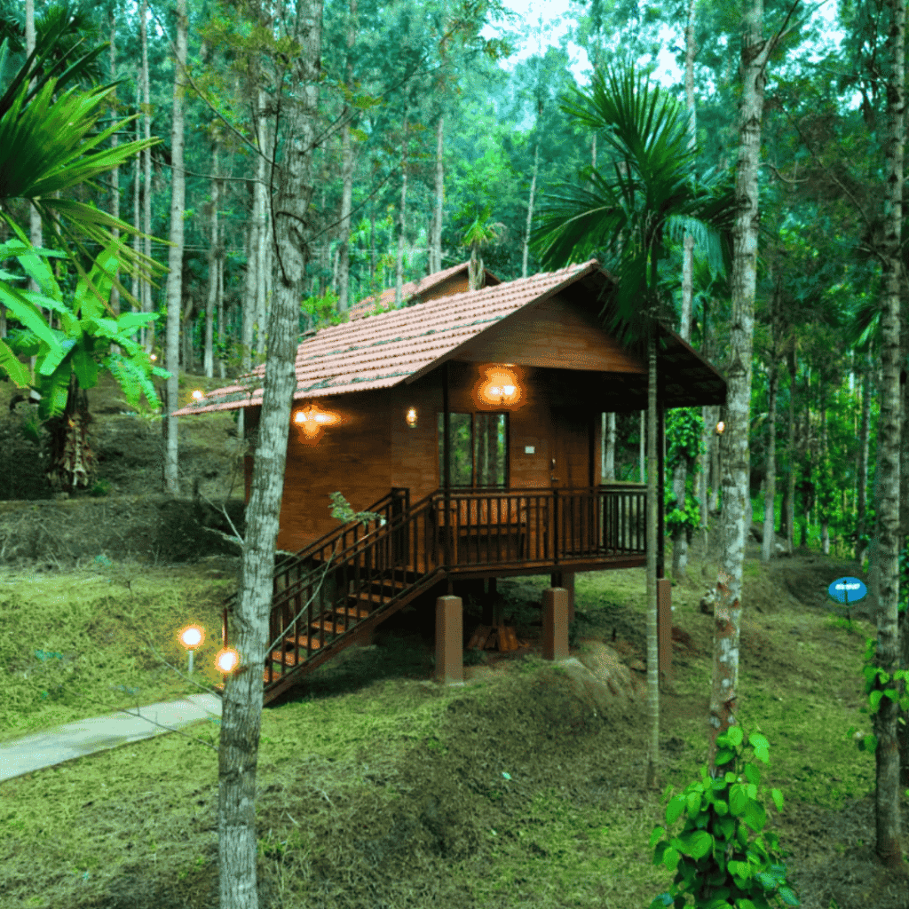 Into The Wild – Kanthalloor resort
